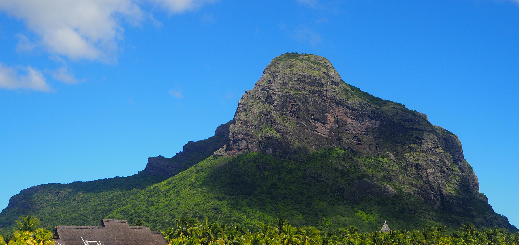 Book Local Spirit Mauritius